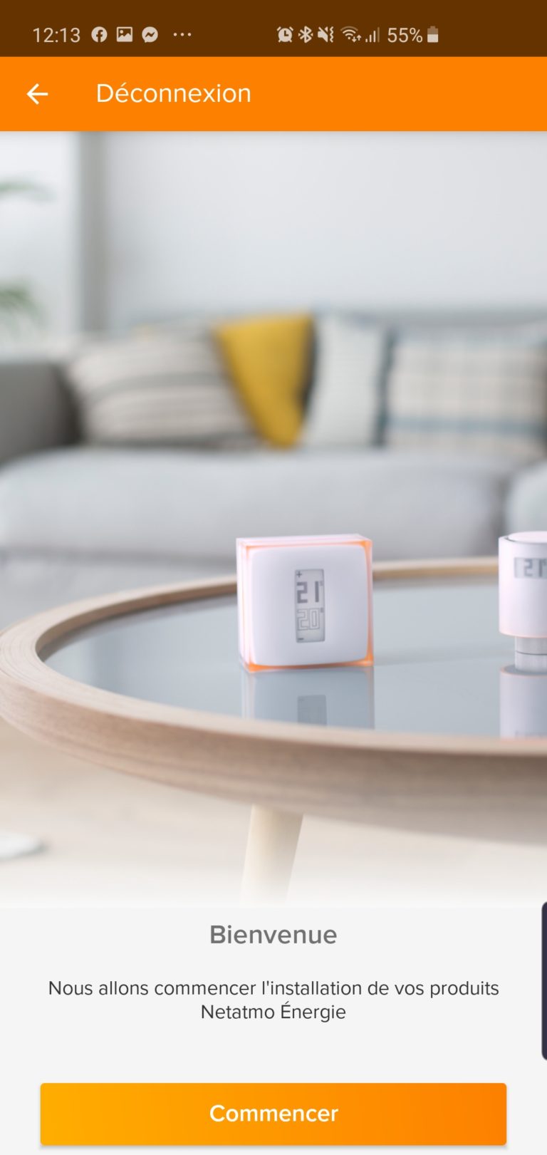 Installation du thermostat Netatmo sur une chaudière gaz – Les Alexiens