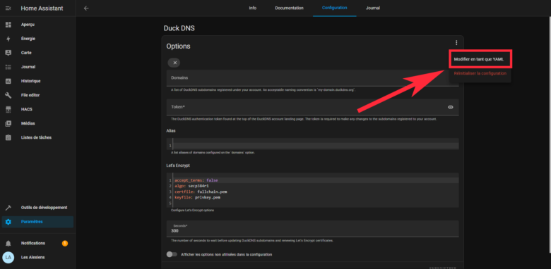 DuckDNS : comment accéder à Home Assistant depuis l'extérieur – Les Alexiens