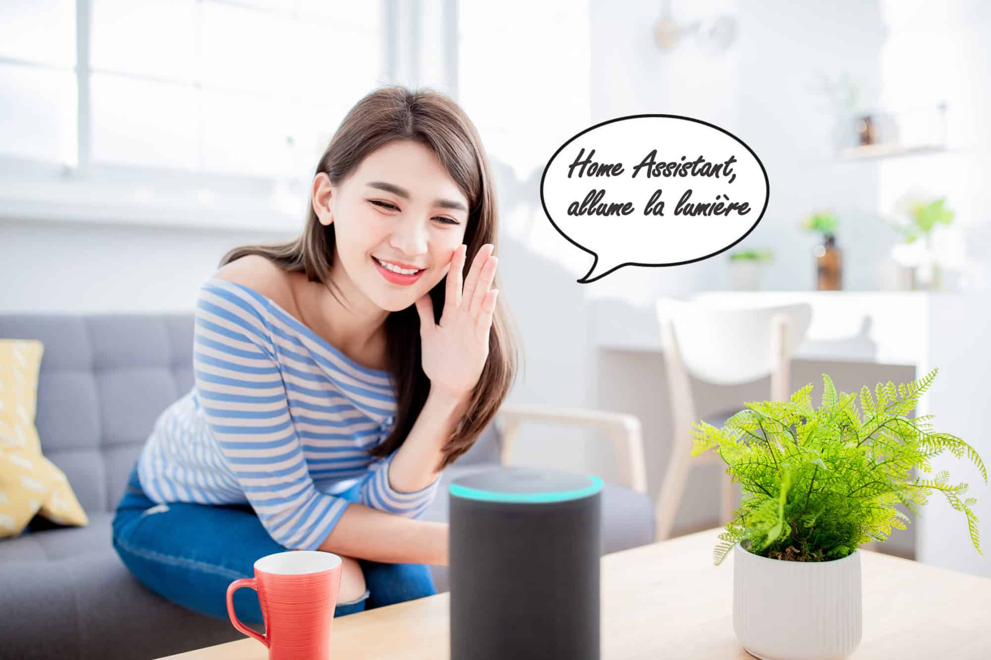 La solution domotique Home Assistant mise sur la voix en 2023 – Les ...